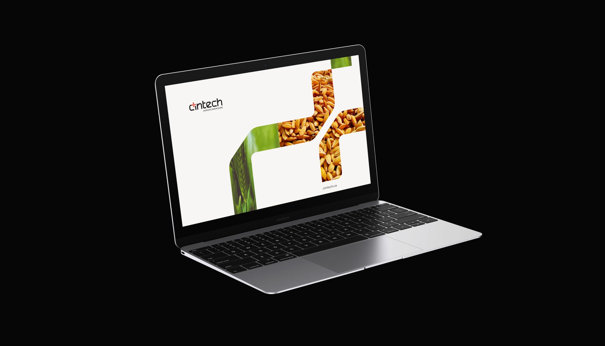 CINTECH DÉVOILE SA NOUVELLE IDENTITÉ ET SON NOUVEAU SITE SIGNÉS HULA ...